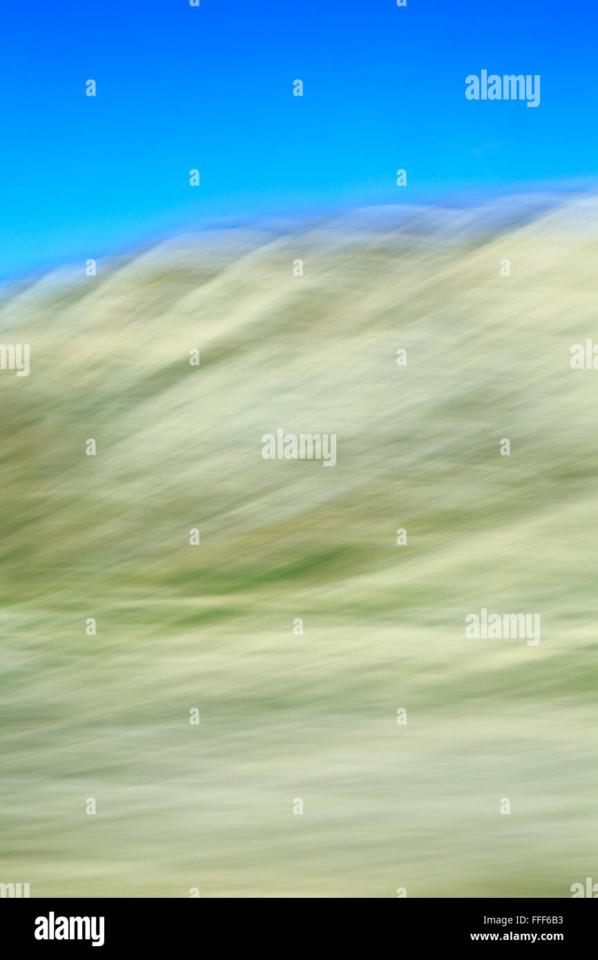 Colorful bright natural background blurred outdoor motion Stock Photo ...