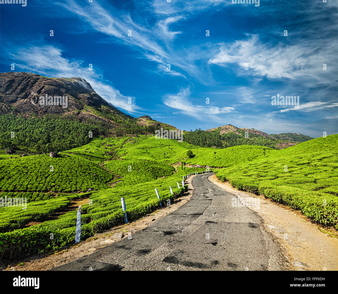 Tea plantations hi-res stock photography and images - Alamy