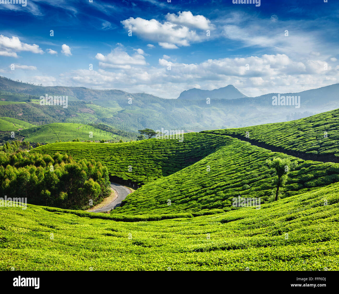 Munnar sightseeing hi-res stock photography and images - Alamy
