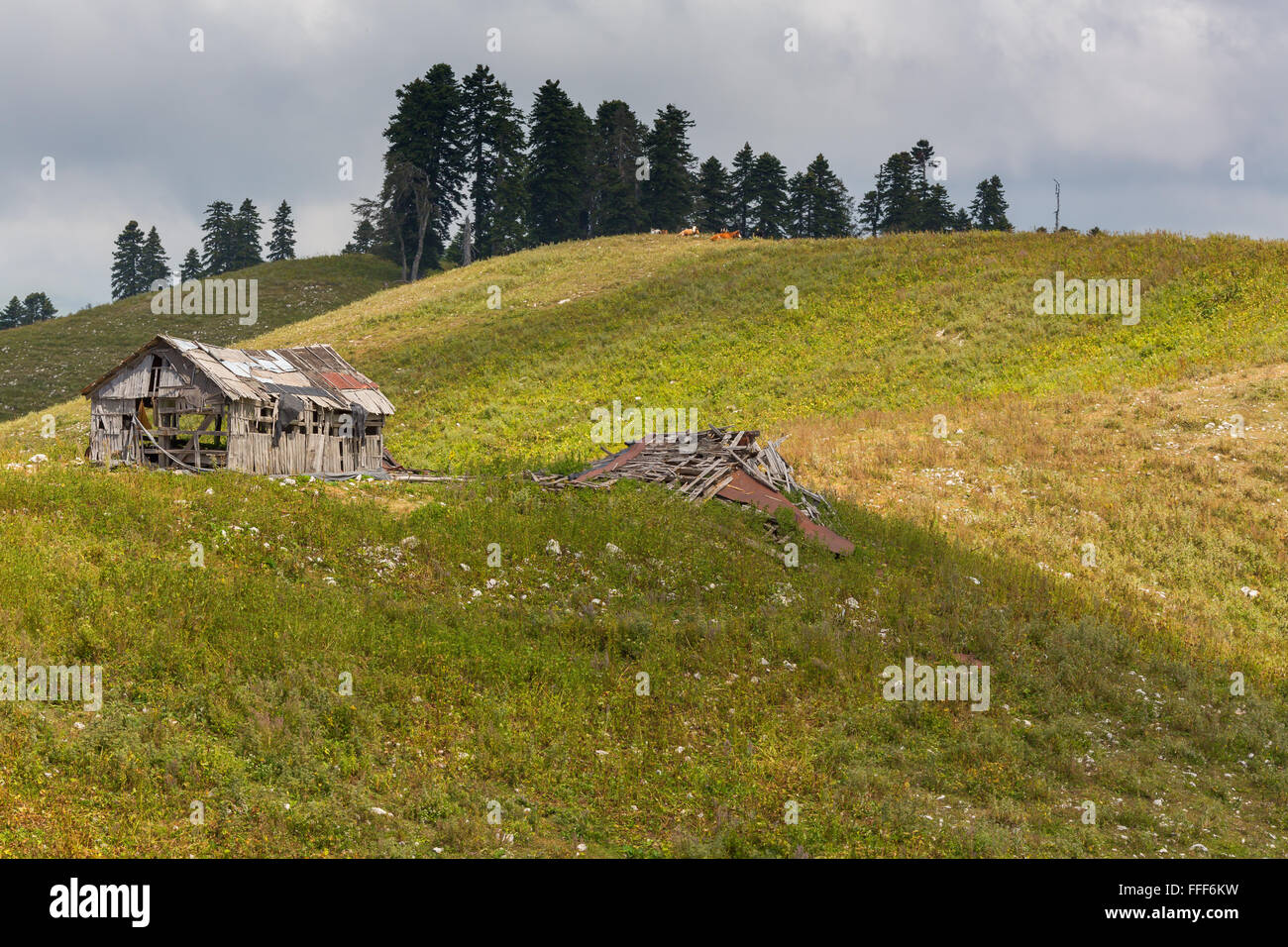 Abandoned lonely wooden hut in a highland Stock Photo - Alamy