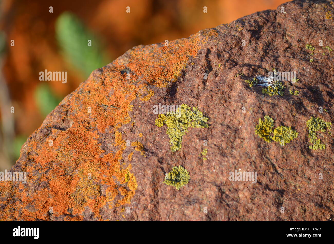 Orange rock with moss Stock Photo - Alamy