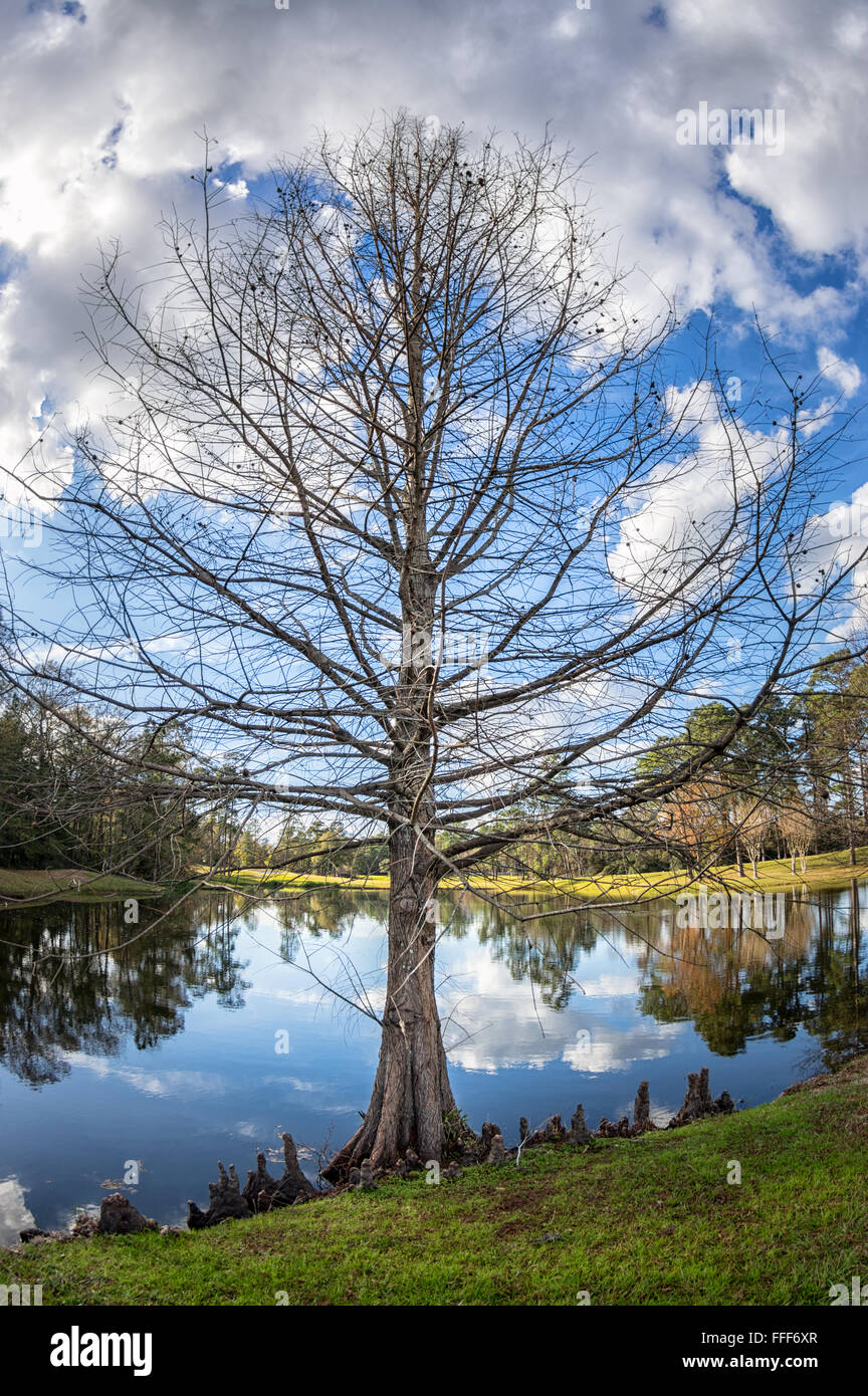 Blue sky with cloods hi-res stock photography and images - Alamy