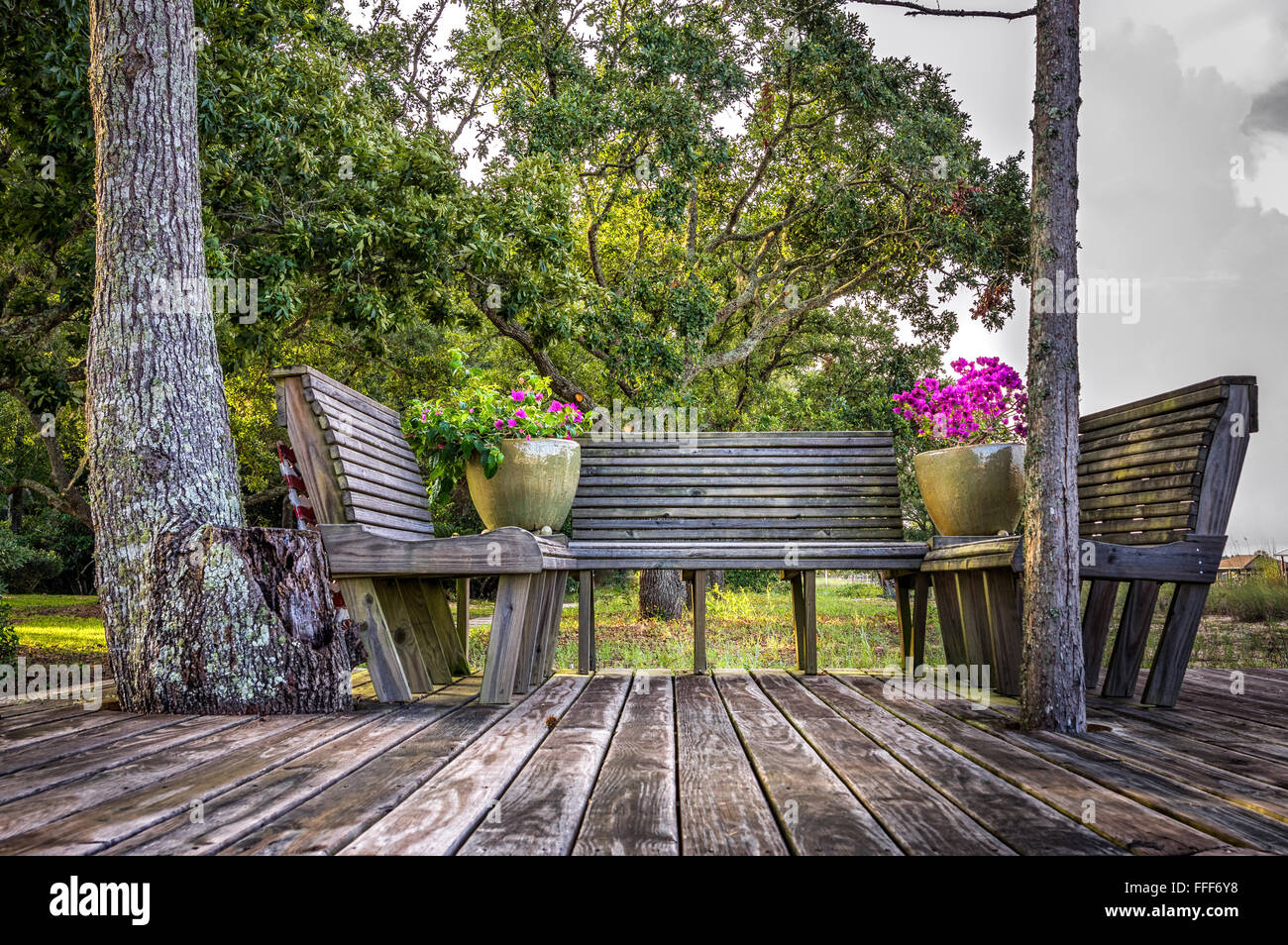 Benches and Plants along a working path by the bay Stock Photo - Alamy