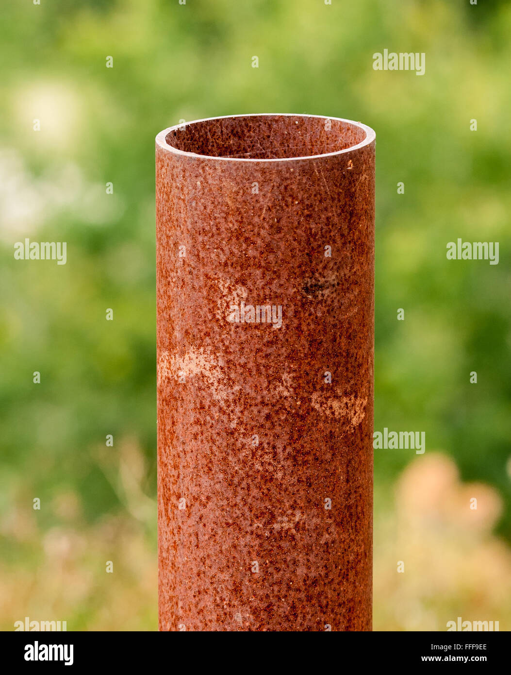 End of vertical red rusted open hollow metal pipe on blurred green ...