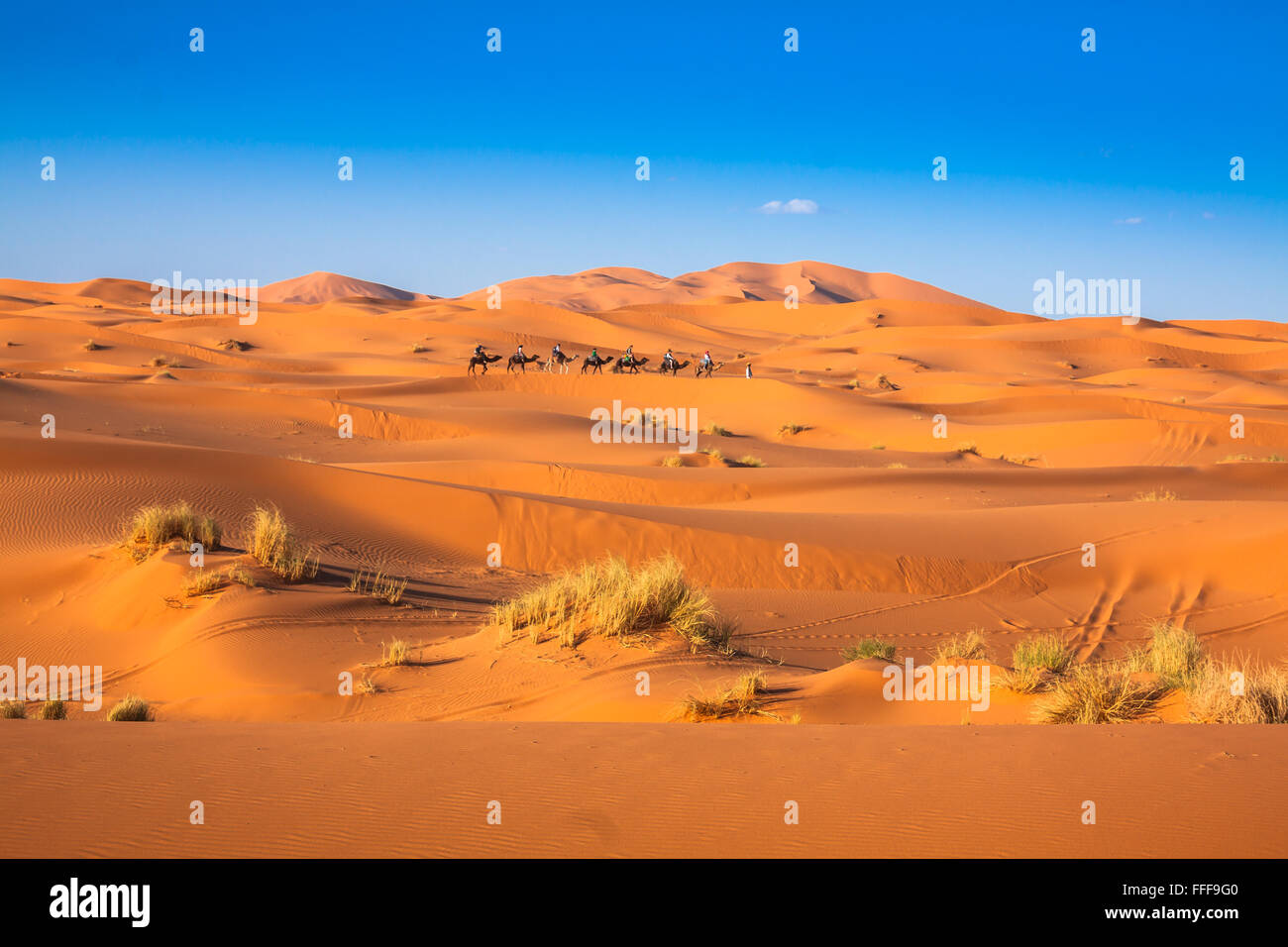 Seif dunes hi-res stock photography and images - Alamy