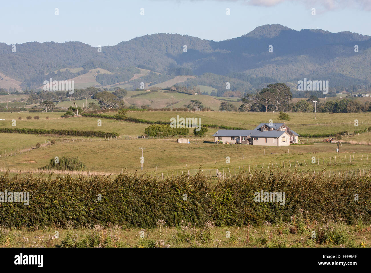 Typical North Island landscape,rural.countryside,New Zealand Stock ...