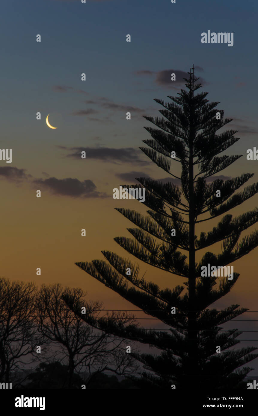 Moon rise australia hi-res stock photography and images - Alamy