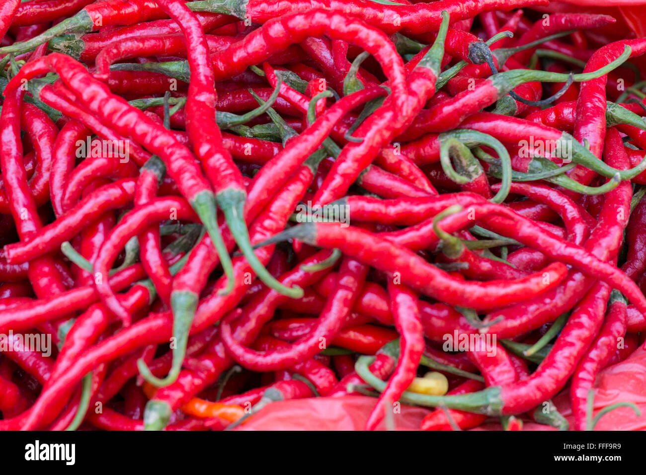 Hot red chillies as a textured food background Stock Photo - Alamy
