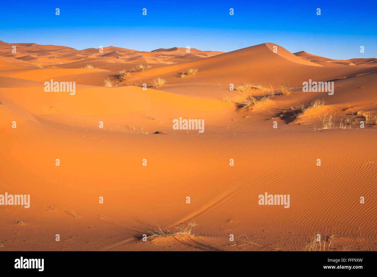 Seif dunes hi-res stock photography and images - Alamy