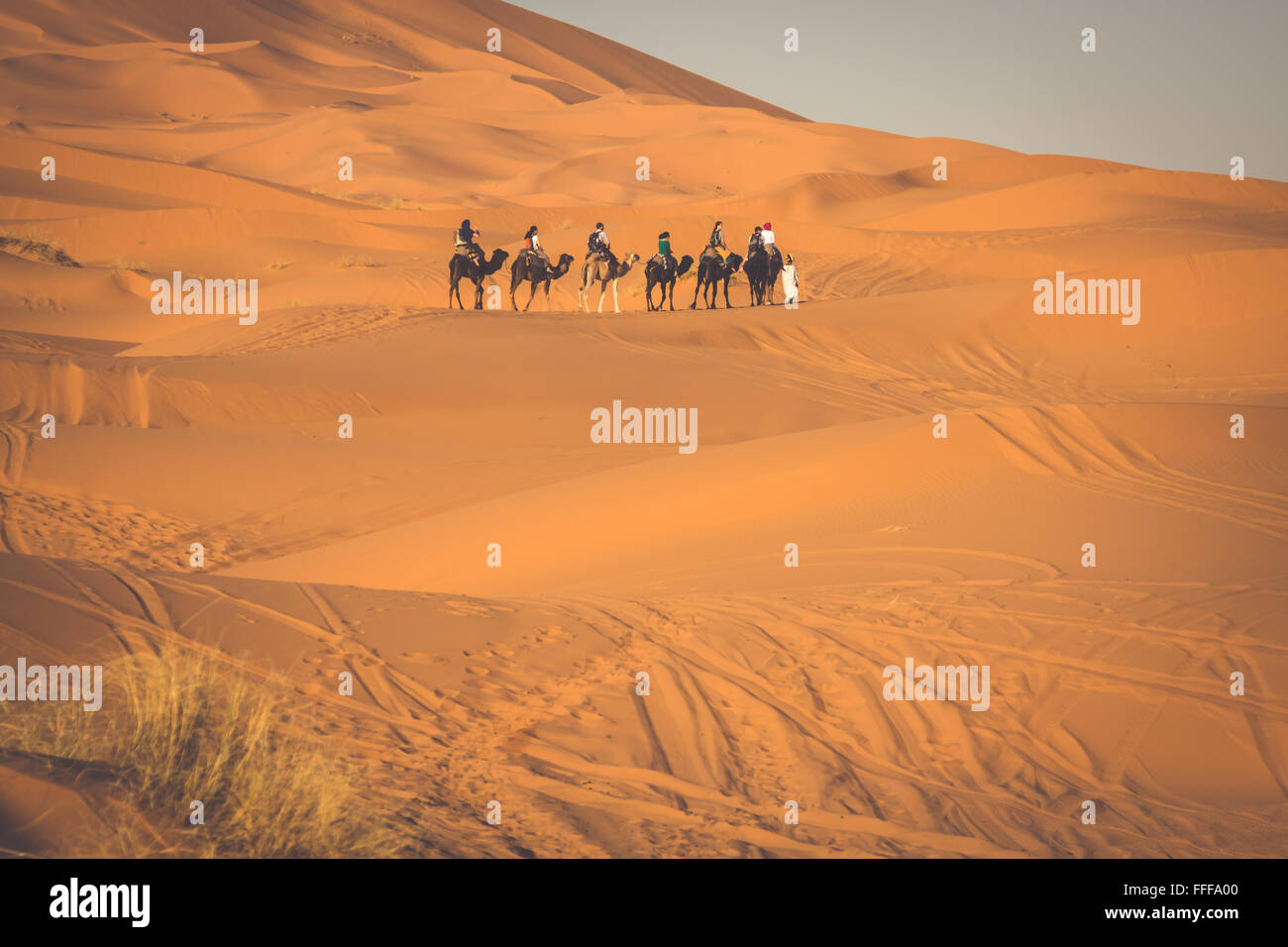 Seif dunes High Resolution Stock Photography and Images - Alamy