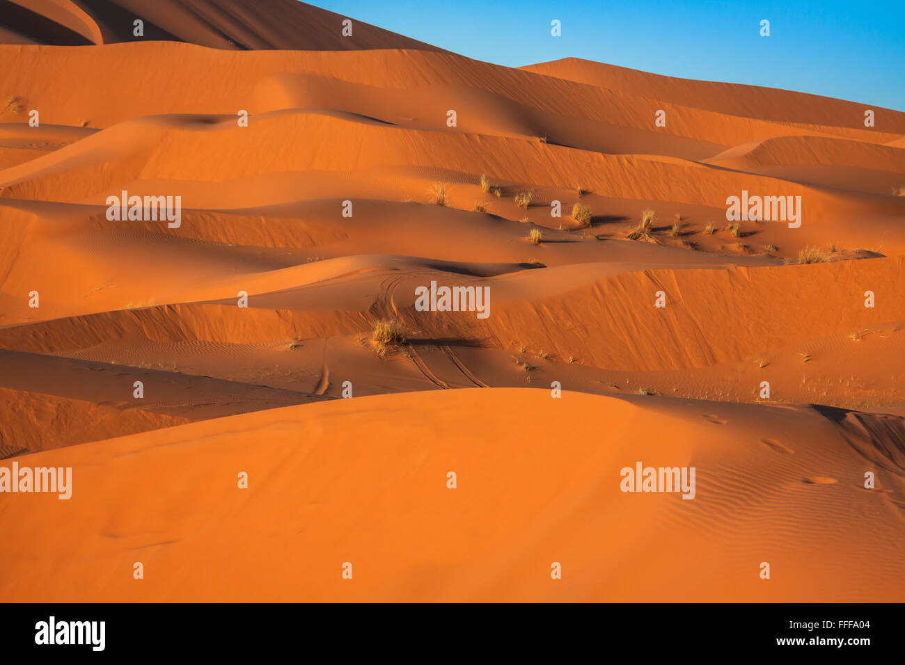 Seif sand dune hi-res stock photography and images - Alamy