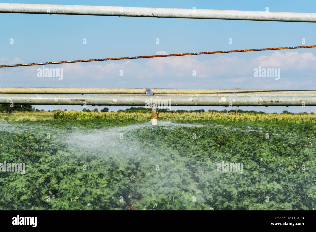 irrigation system over a ripe cotton field Stock Photo - Alamy