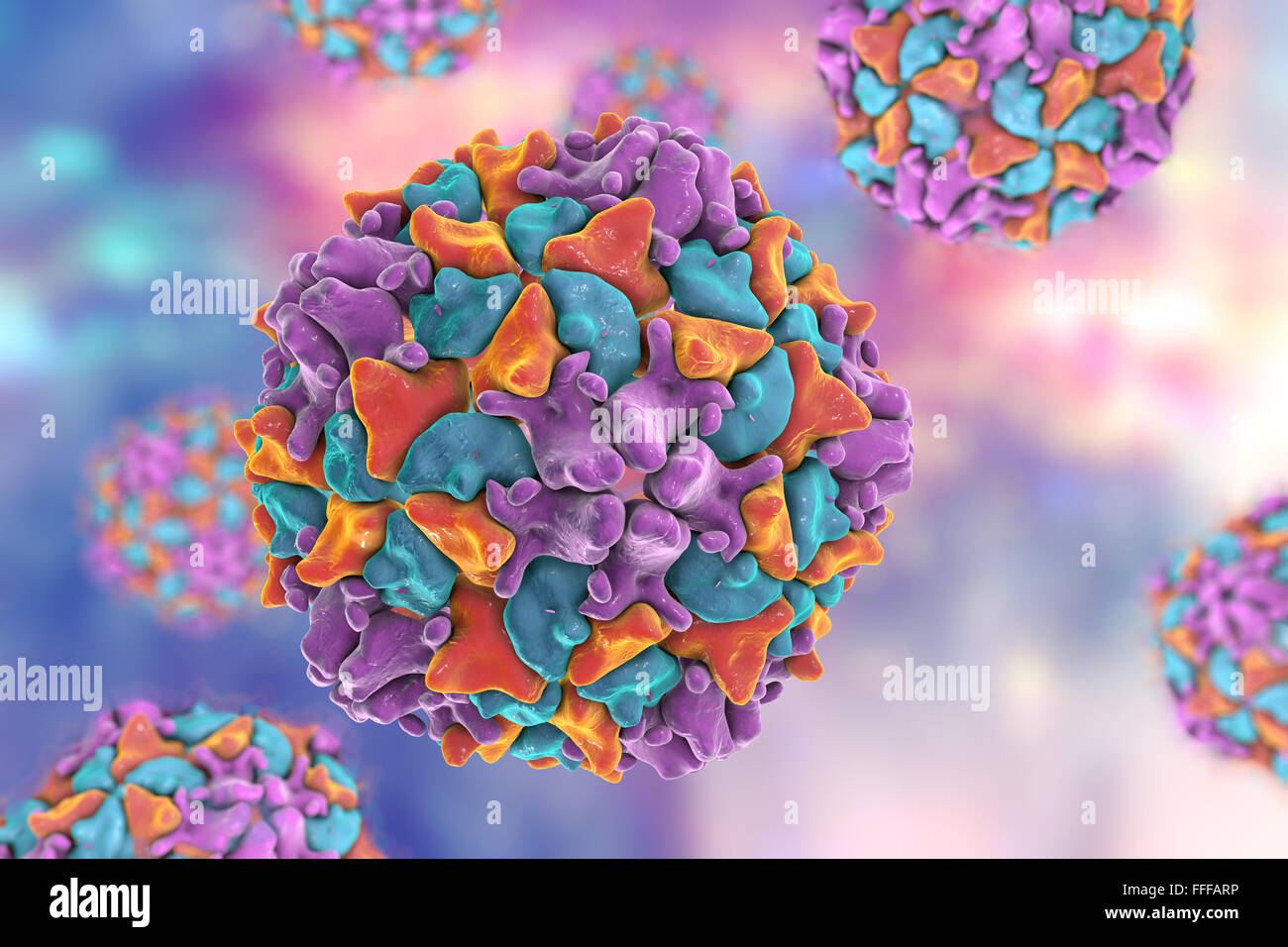 Poliovirus particle, computer artwork. Polio virus particles (virions ...