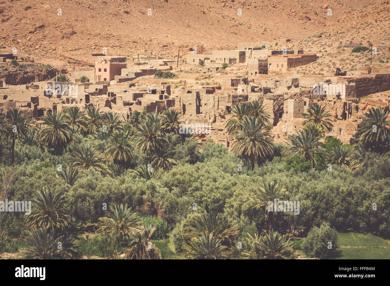 Wide view of cultivated fields and palms in Errachidia Morocco North ...