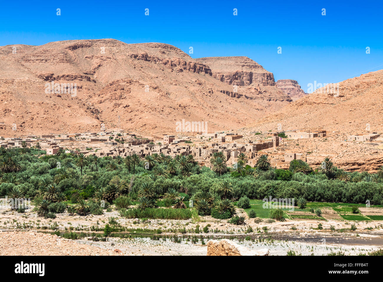 Wide view of cultivated fields and palms in Errachidia Morocco North ...