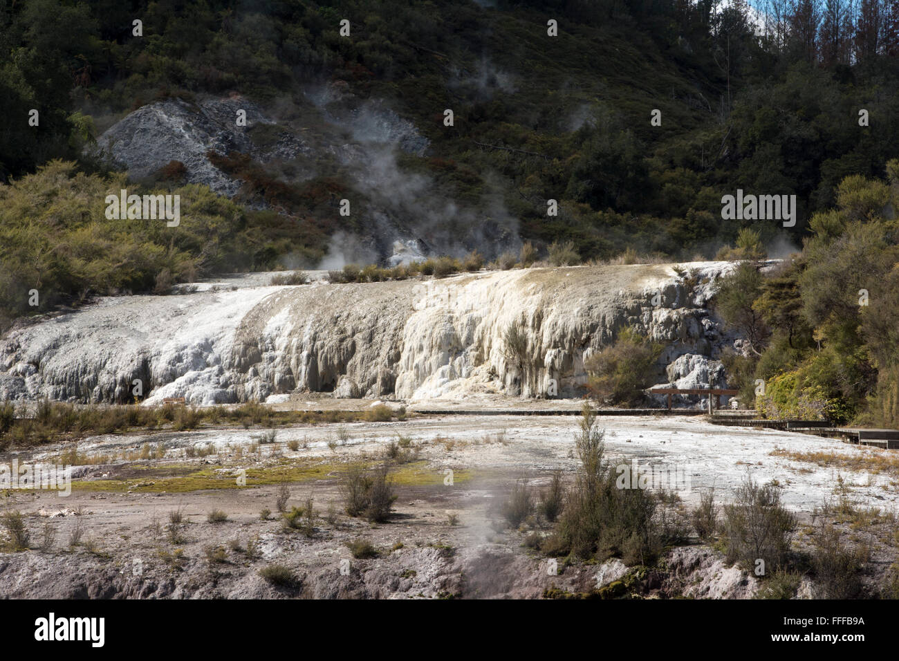 Five meter high hi-res stock photography and images - Alamy