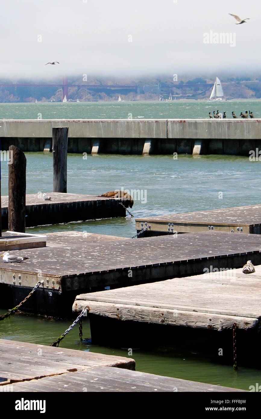 Little bay bridge hi-res stock photography and images - Alamy