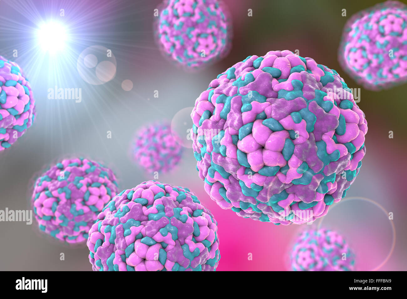 Picornavirus High Resolution Stock Photography and Images - Alamy