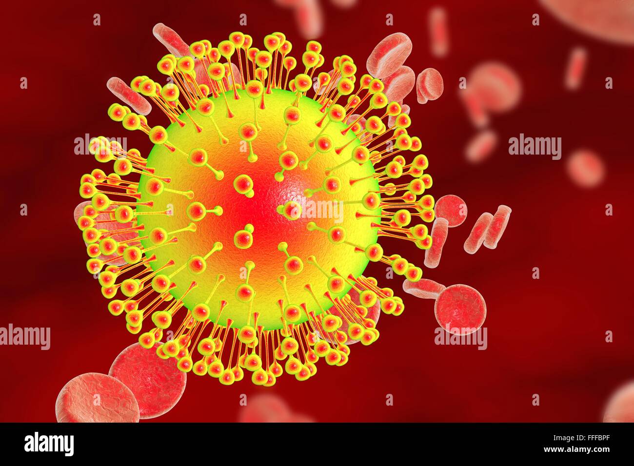 Zika virus, computer illustration. This is an RNA (ribonucleic acid ...