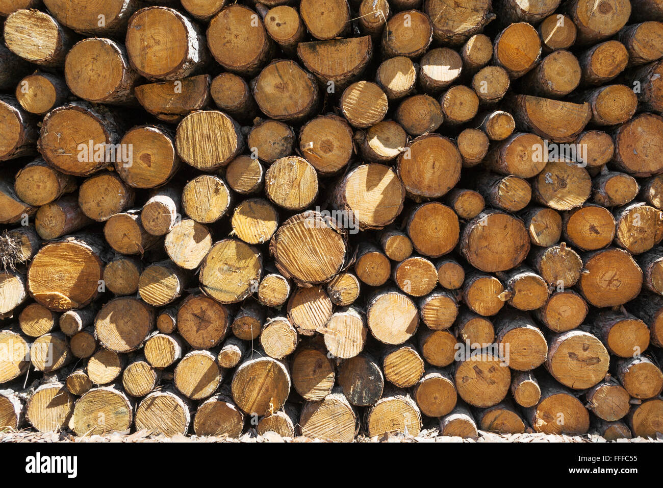 Stacked cut logs hi-res stock photography and images - Alamy