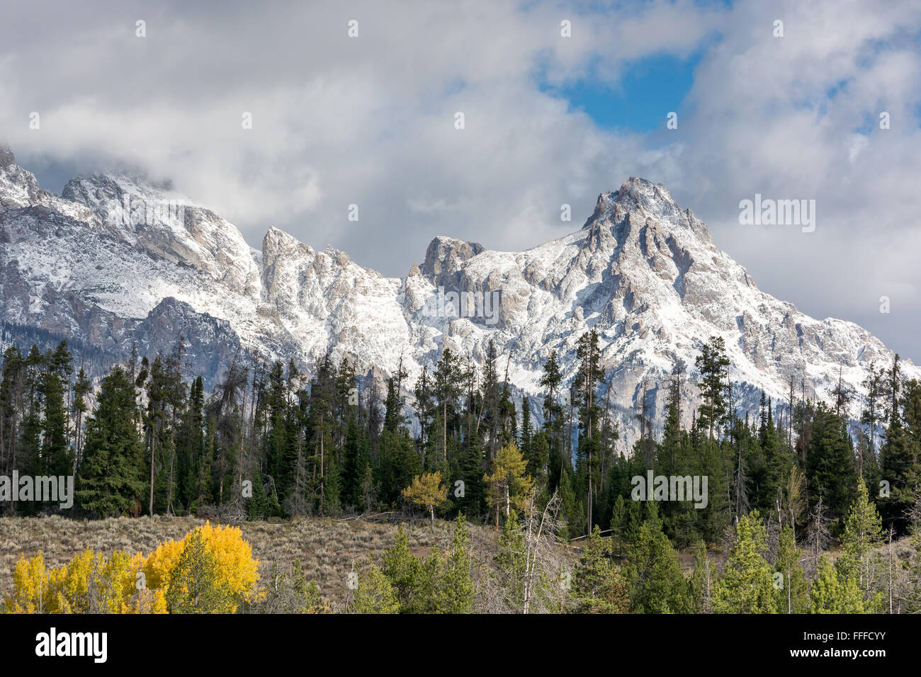 Scenic view of the Grand Teton National Park Stock Photo - Alamy