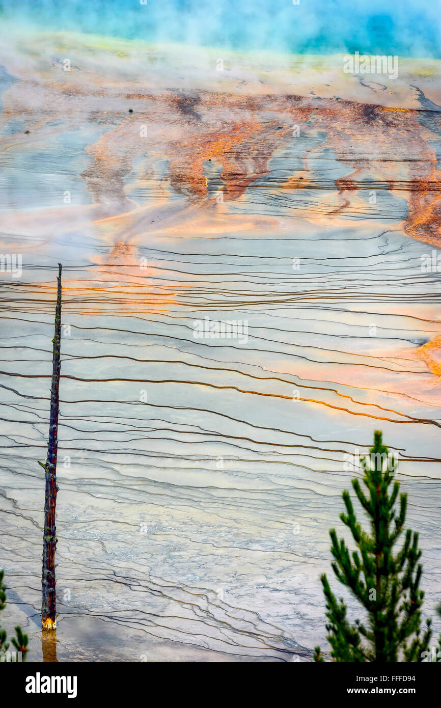 View of the Grand Prismatic Spring Stock Photo - Alamy