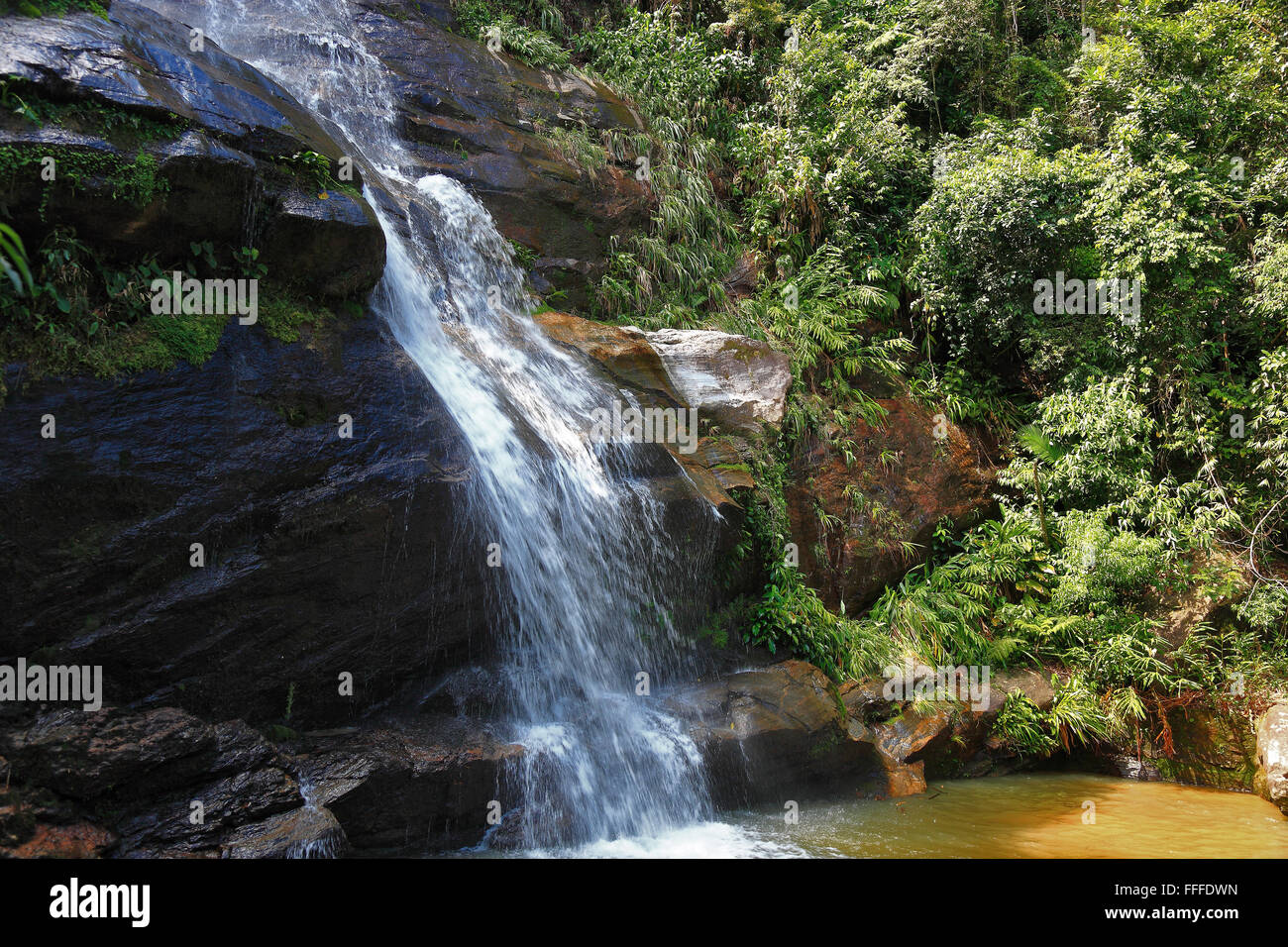 Waterfall in Tijuca Forest, Floresta da Tijuca, Rio de Janeiro, Brazil ...