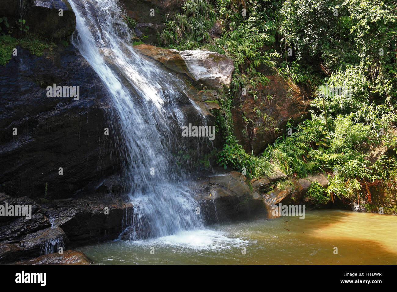 Waterfall in Tijuca Forest, Floresta da Tijuca, Rio de Janeiro, Brazil ...