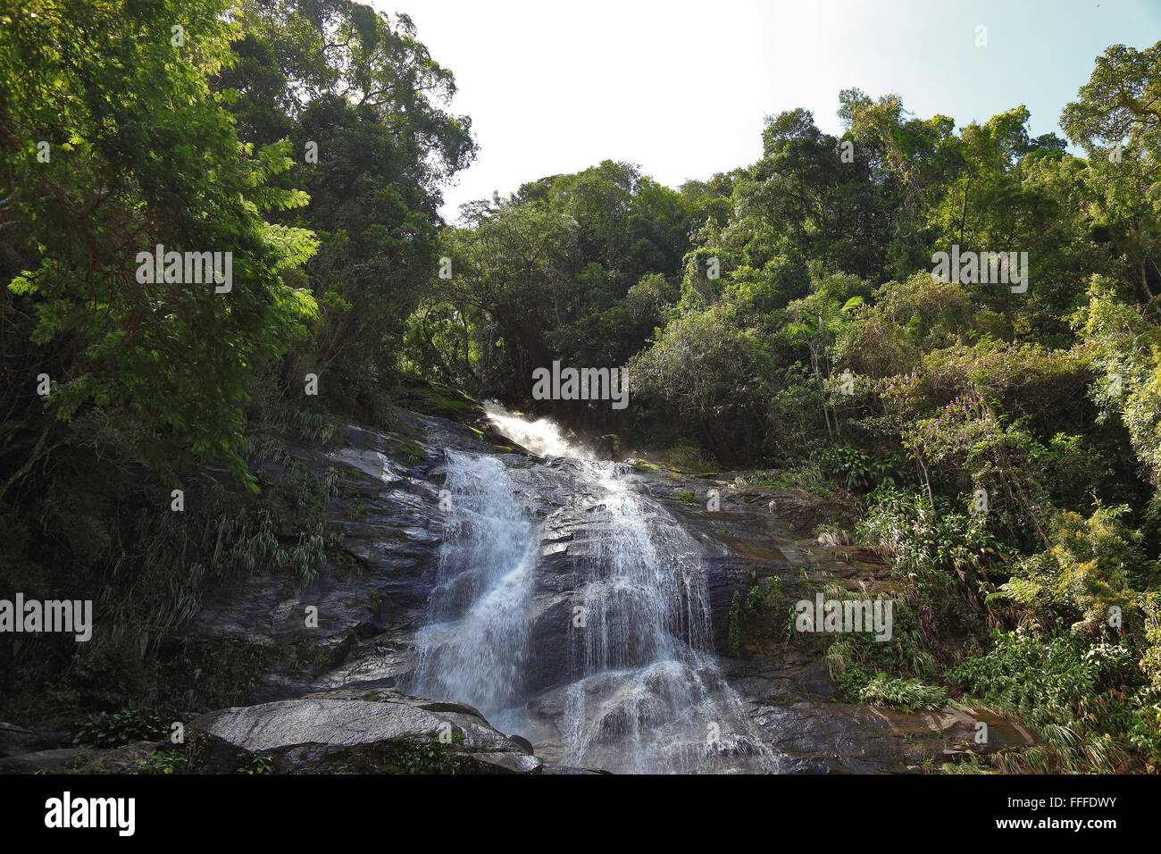 Waterfall in Tijuca Forest, Floresta da Tijuca, Rio de Janeiro, Brazil ...