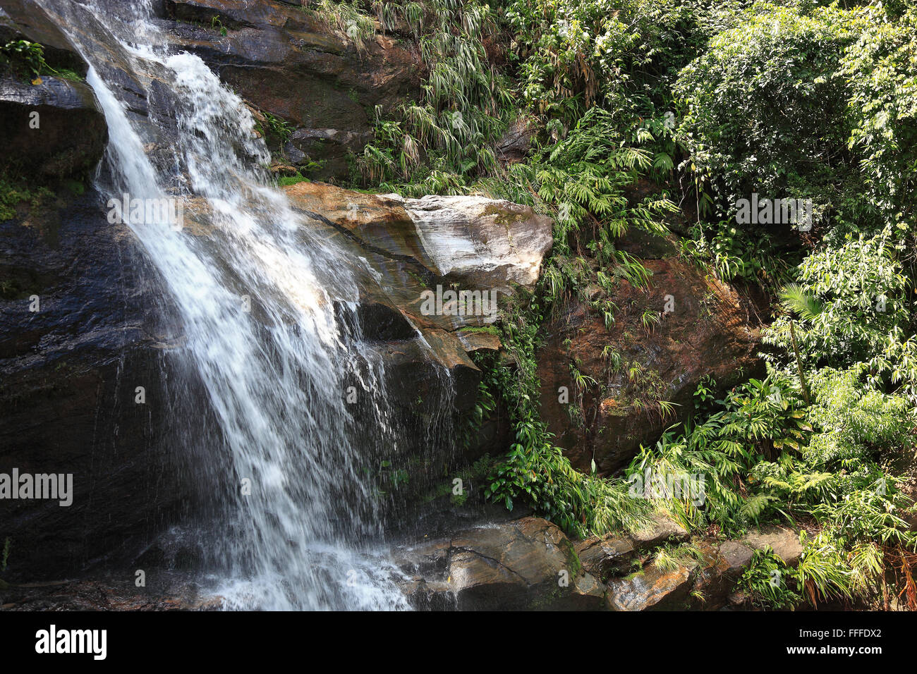 Waterfall in Tijuca Forest, Floresta da Tijuca, Rio de Janeiro, Brazil ...