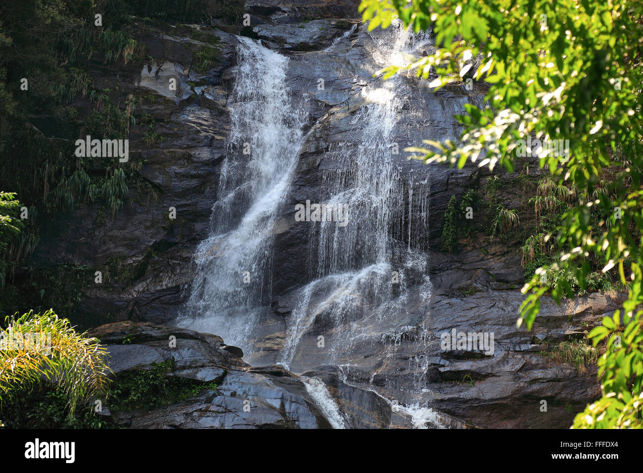 Waterfall in Tijuca Forest, Floresta da Tijuca, Rio de Janeiro, Brazil ...