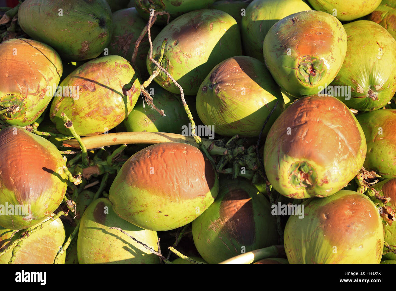 Latin america coconuts hi-res stock photography and images - Alamy