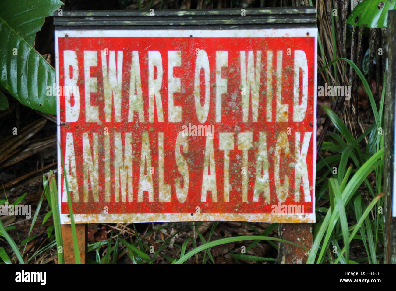 Beware wild animals sign hi-res stock photography and images - Alamy
