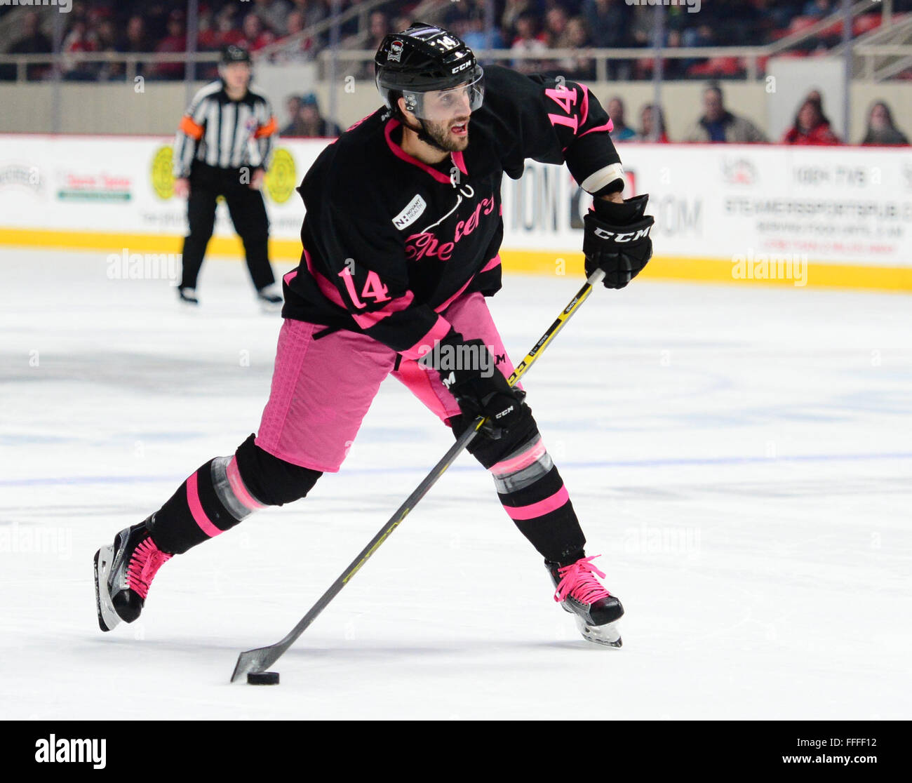 Charlotte Checkers LW Justin Shugg (14) during the AHL game between the ...