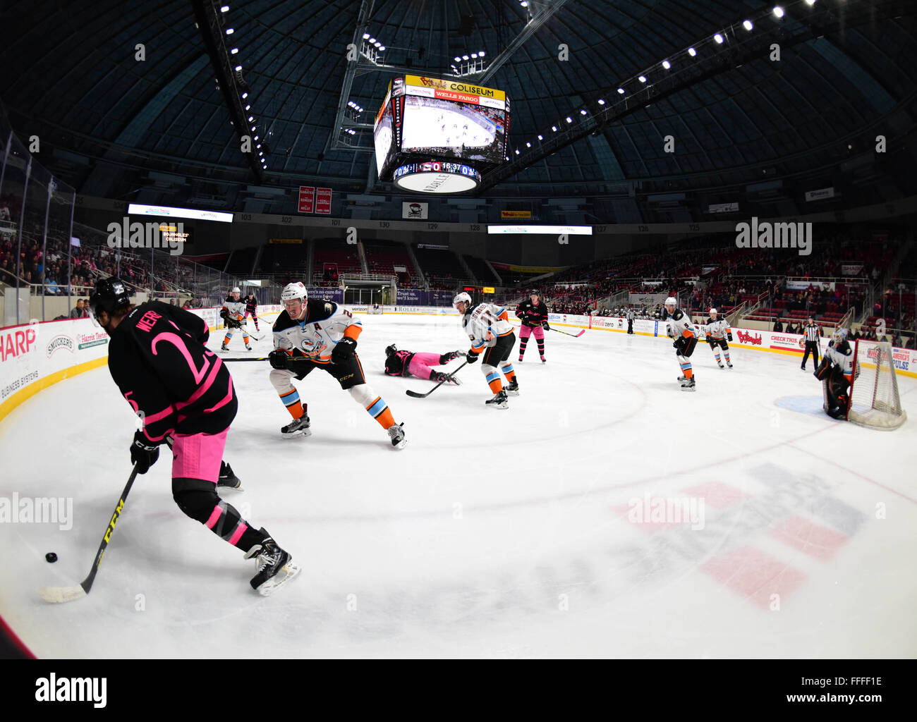 Charlotte Checkers C Ethan Werek (25) during the AHL game between the ...