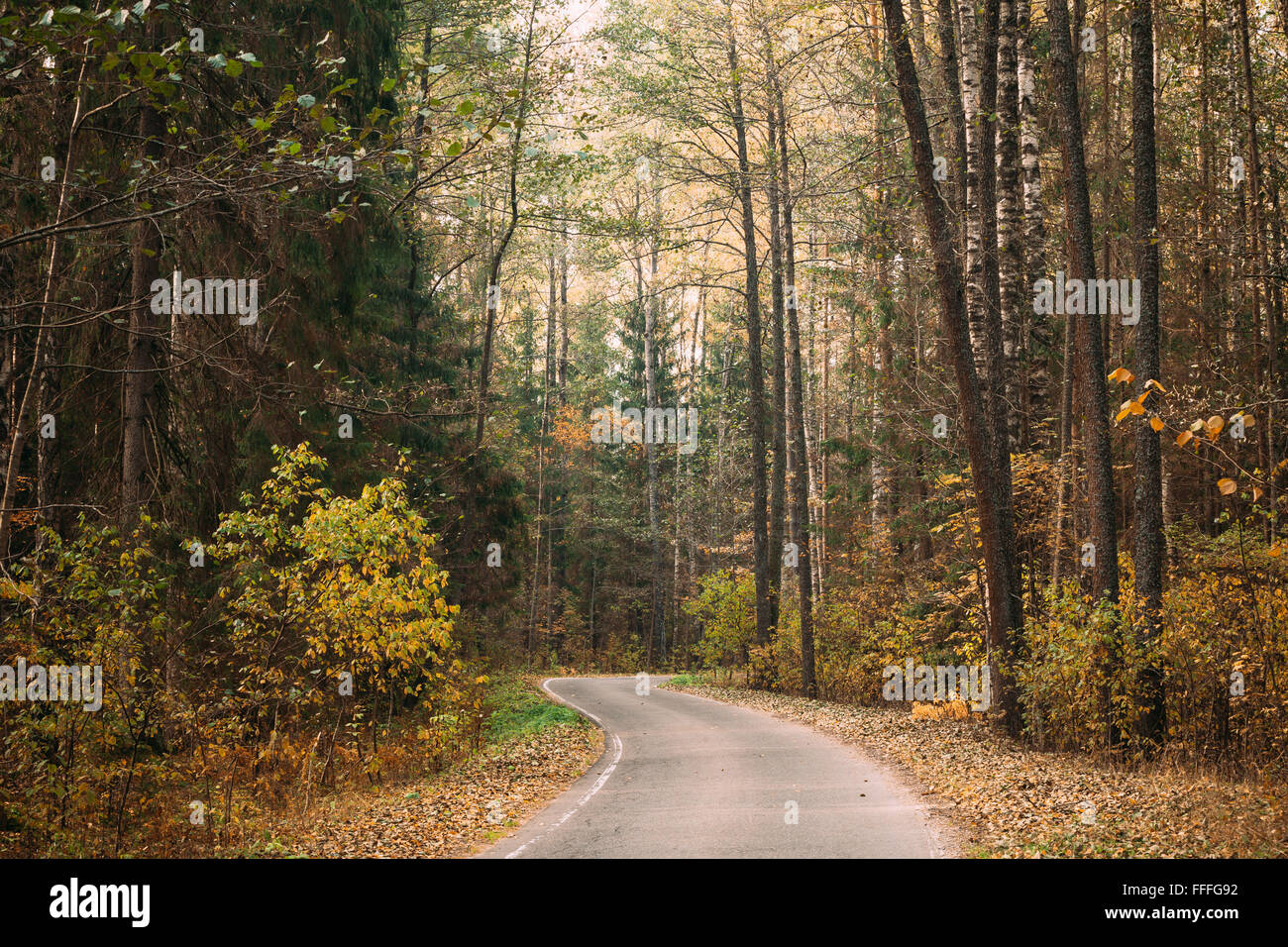 Winding walkway hi-res stock photography and images - Alamy