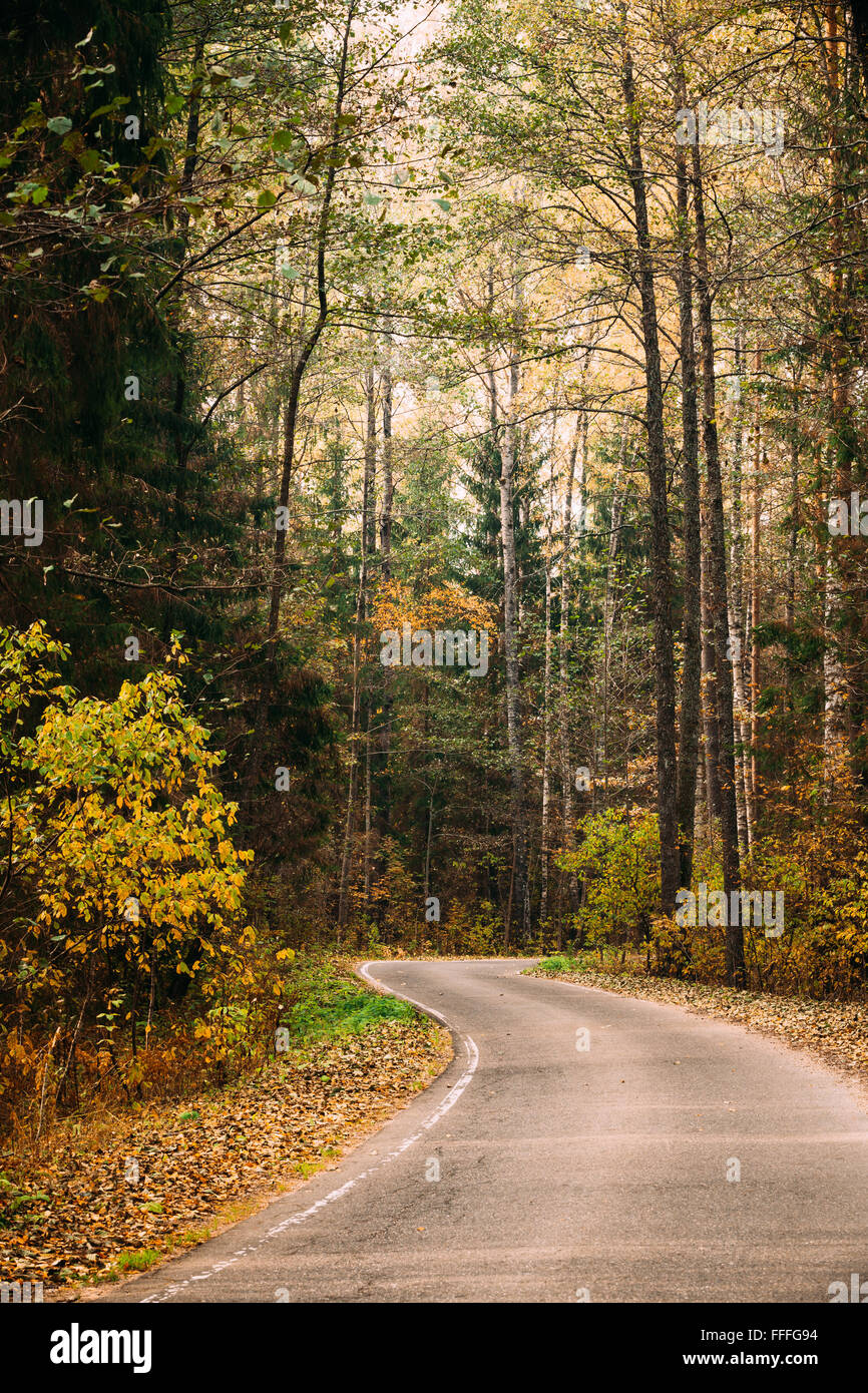 Road path pathway walkway through autumn forest Stock Photo - Alamy