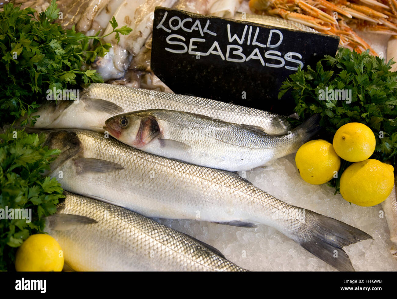 Wild sea bass at fish market Stock Photo - Alamy