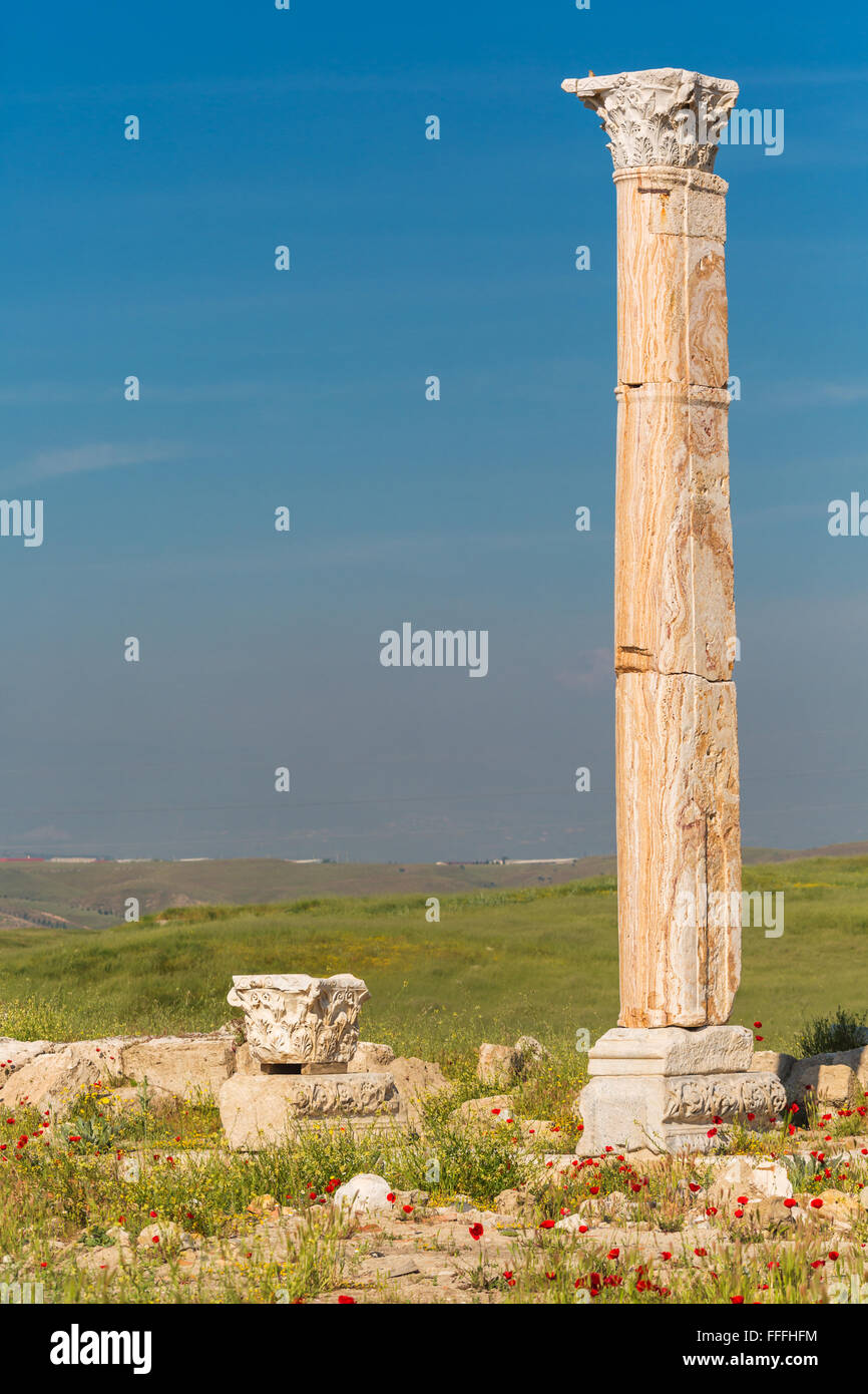 Ruins of ancient Laodicea on the Lycus, Denizli Province, Turkey Stock ...