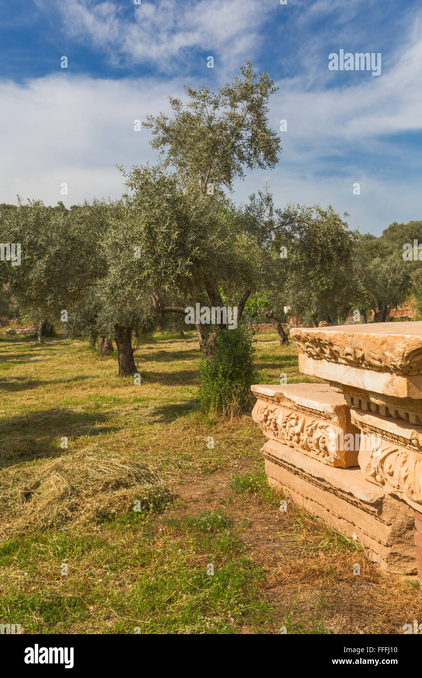 Ruins of ancient Nysa on the Maeander, Aydin Province, Turkey Stock ...