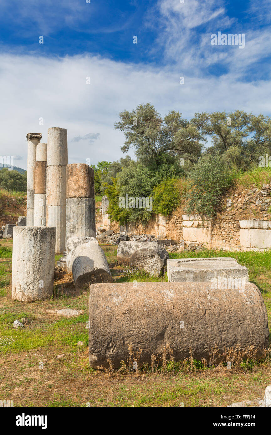 Ruins of ancient Nysa on the Maeander, Aydin Province, Turkey Stock ...