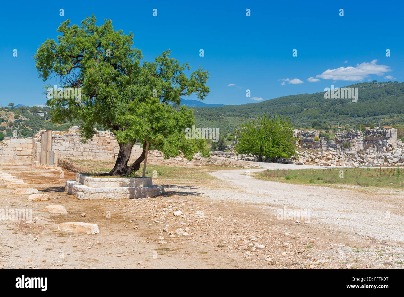 Ruins of ancient Patara, Antalya Province, Turkey Stock Photo - Alamy