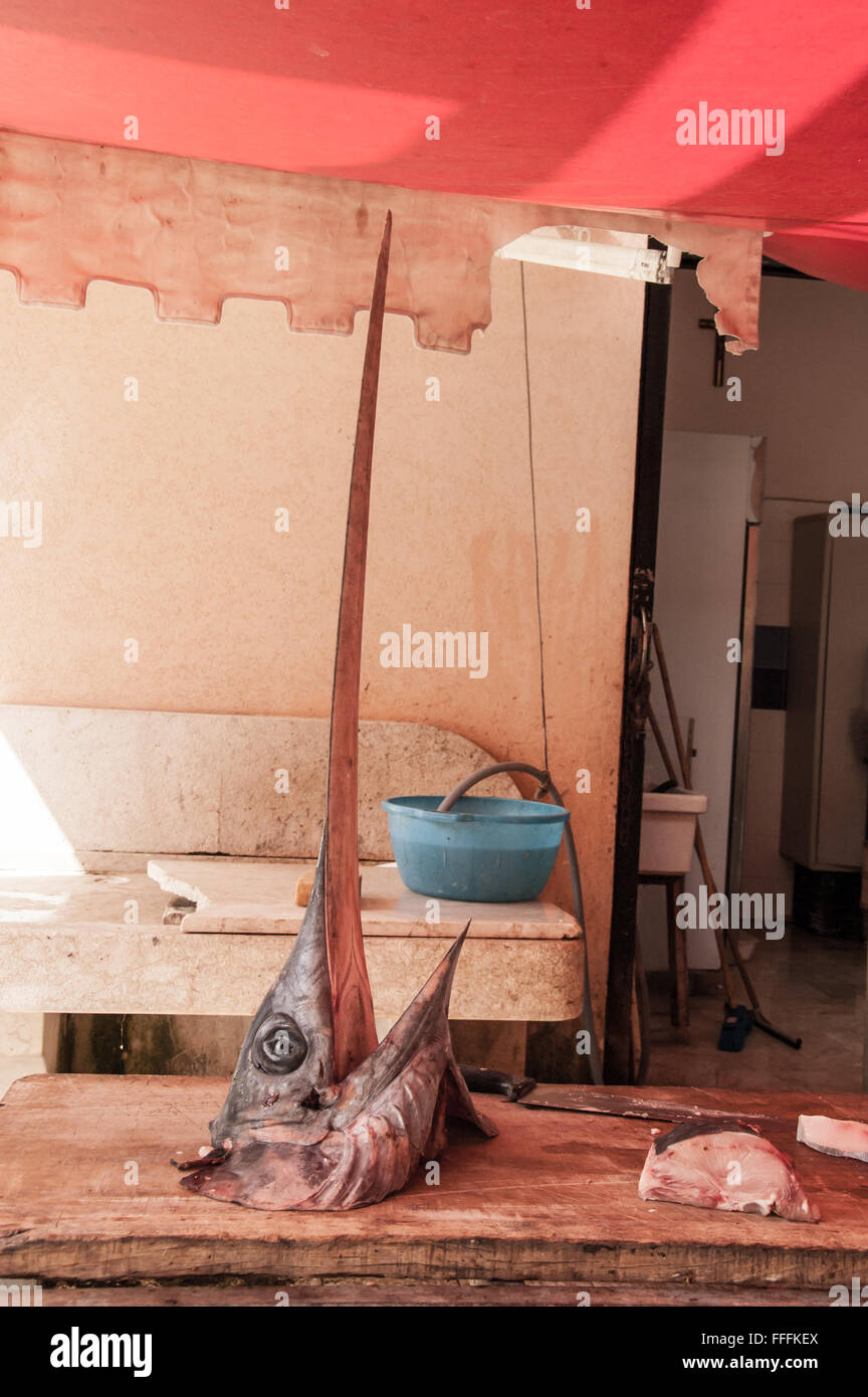 Big head swordfish on hi-res stock photography and images - Alamy