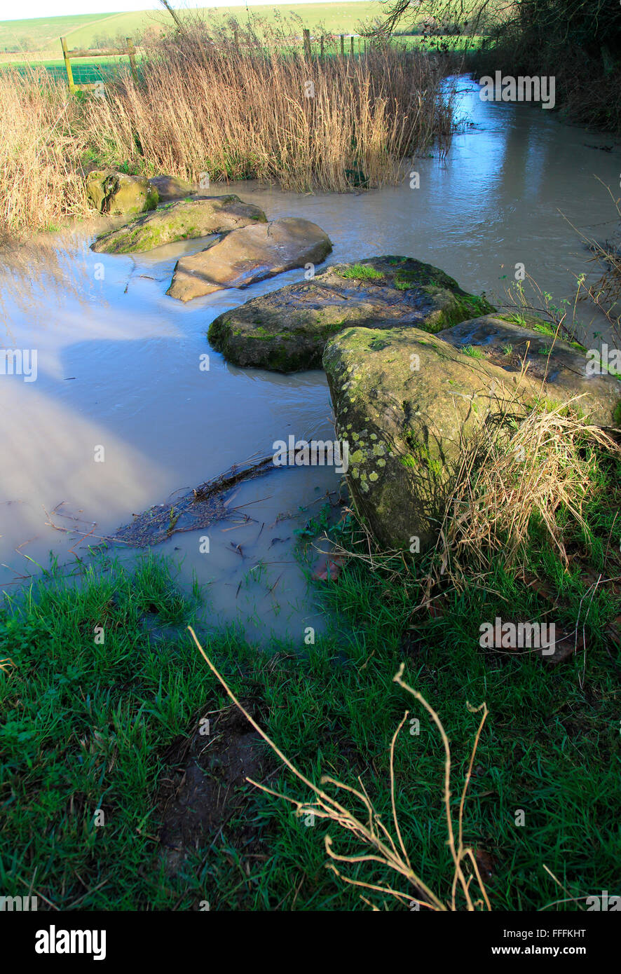 Stepping stones at Swallowhead Springs ancient sacred site, River ...