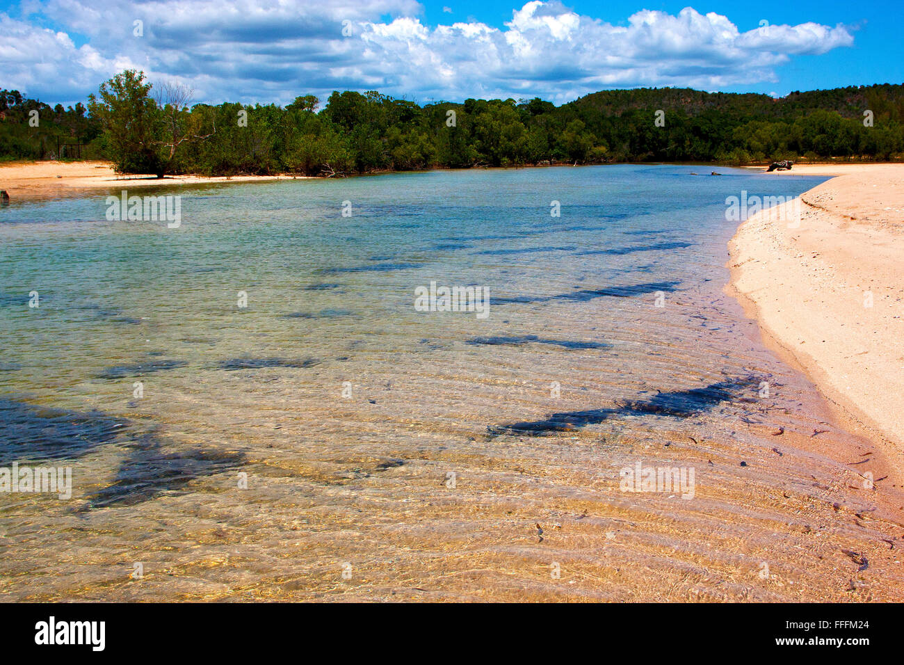pond coastline river in the blue lagoon relax and bush madagascar nosy ...