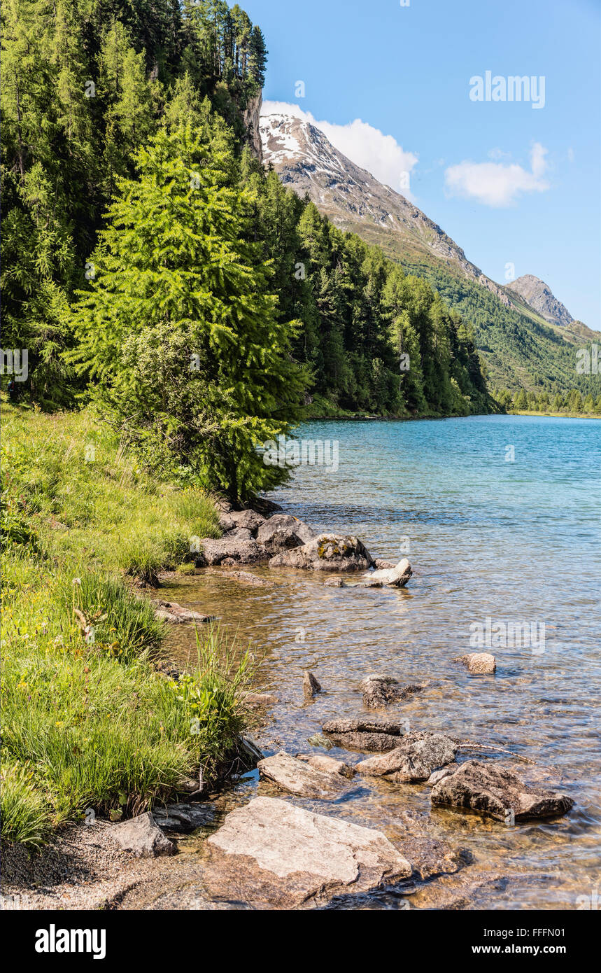 Summer landscape, Lake Sils, Upper Engadin, Switzerland Stock Photo - Alamy