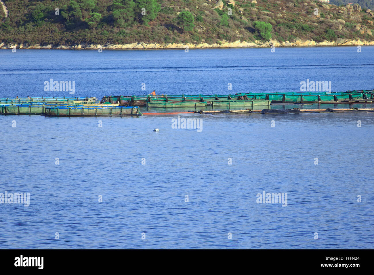 Net fishing for shrimps hi-res stock photography and images - Alamy