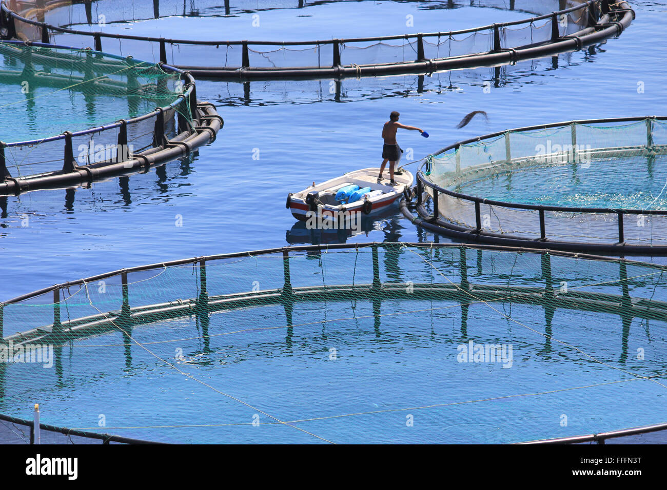Marine fish farm hi-res stock photography and images - Alamy