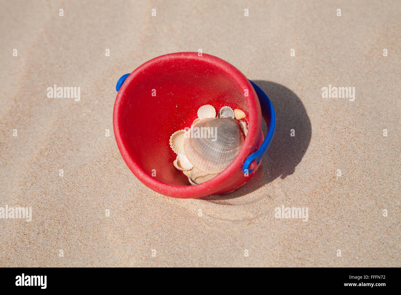 red and blue plastic baby infant toy bucket full of sea shells on ...