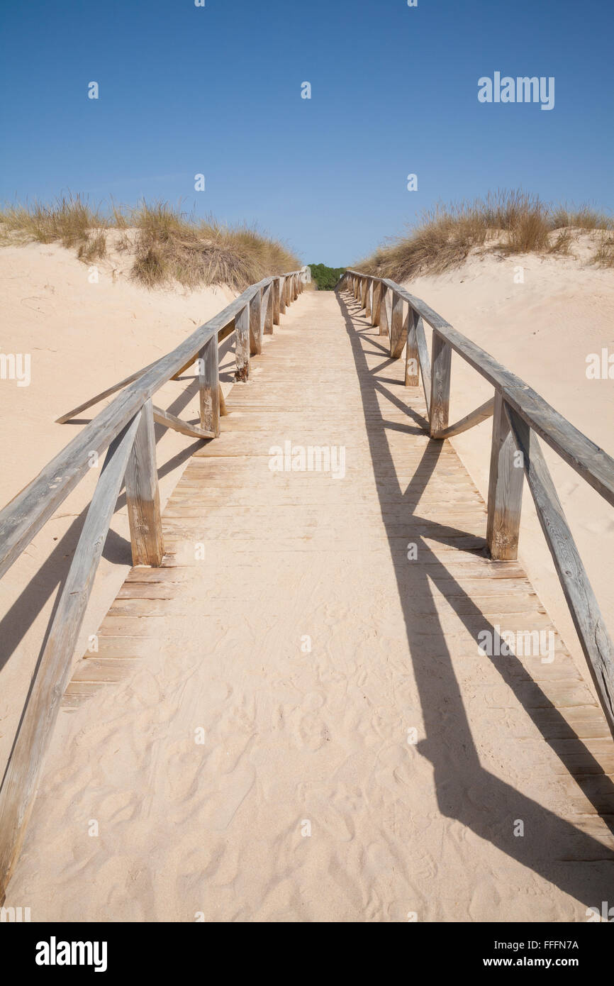 wooden and sand walkway or path with hand rail with green blue ...